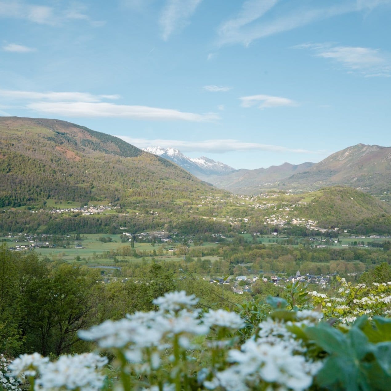 Lodge du Hautacam - Maison d'hôtes dans les Pyrénées