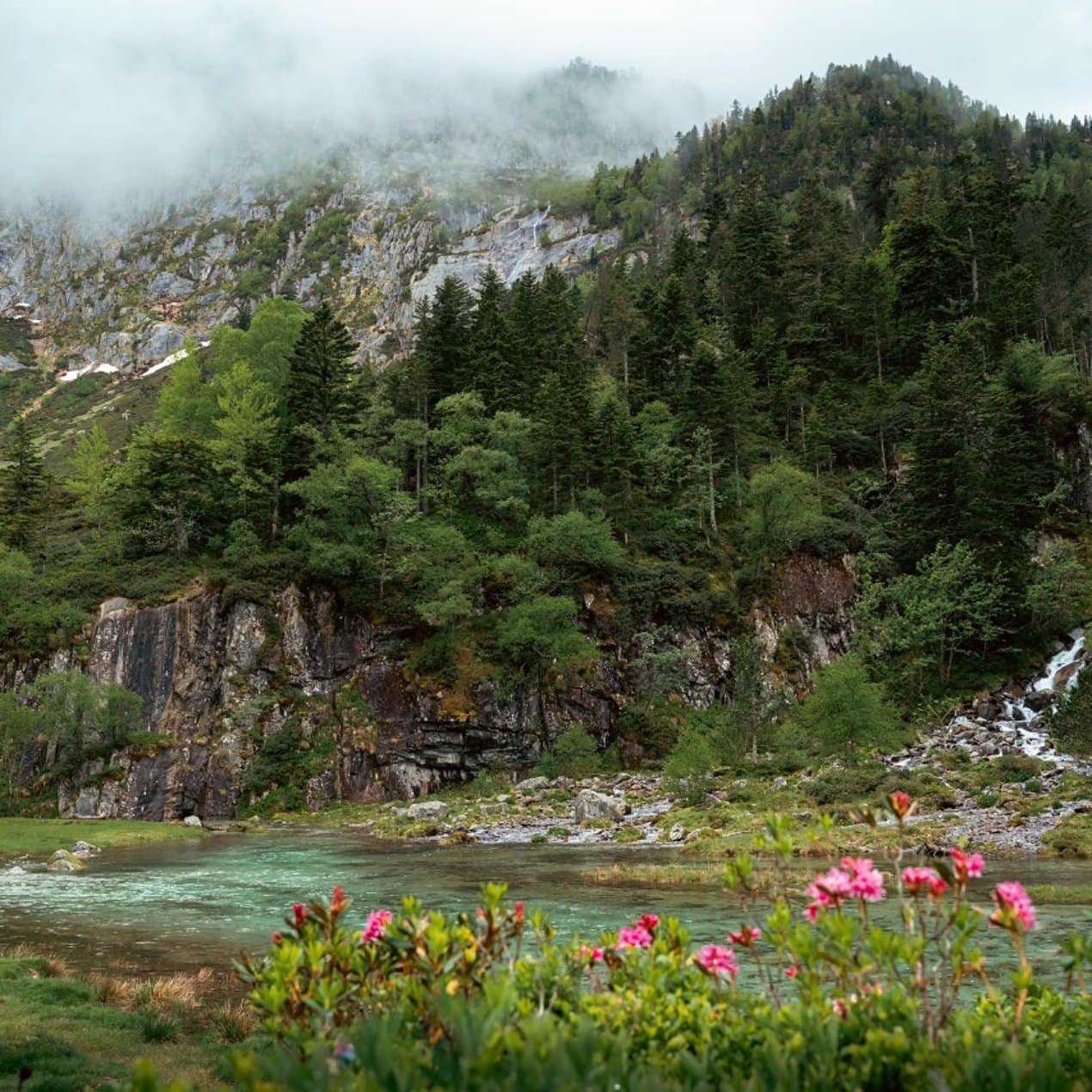 Lodge du Hautacam - Maison d'hôtes dans les Pyrénées